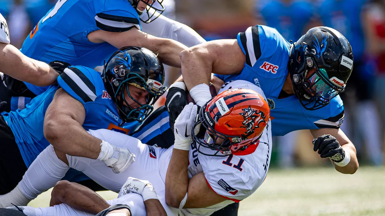 Away hit. Panthers Wrocław to play against Hamburg Sea Devils ...