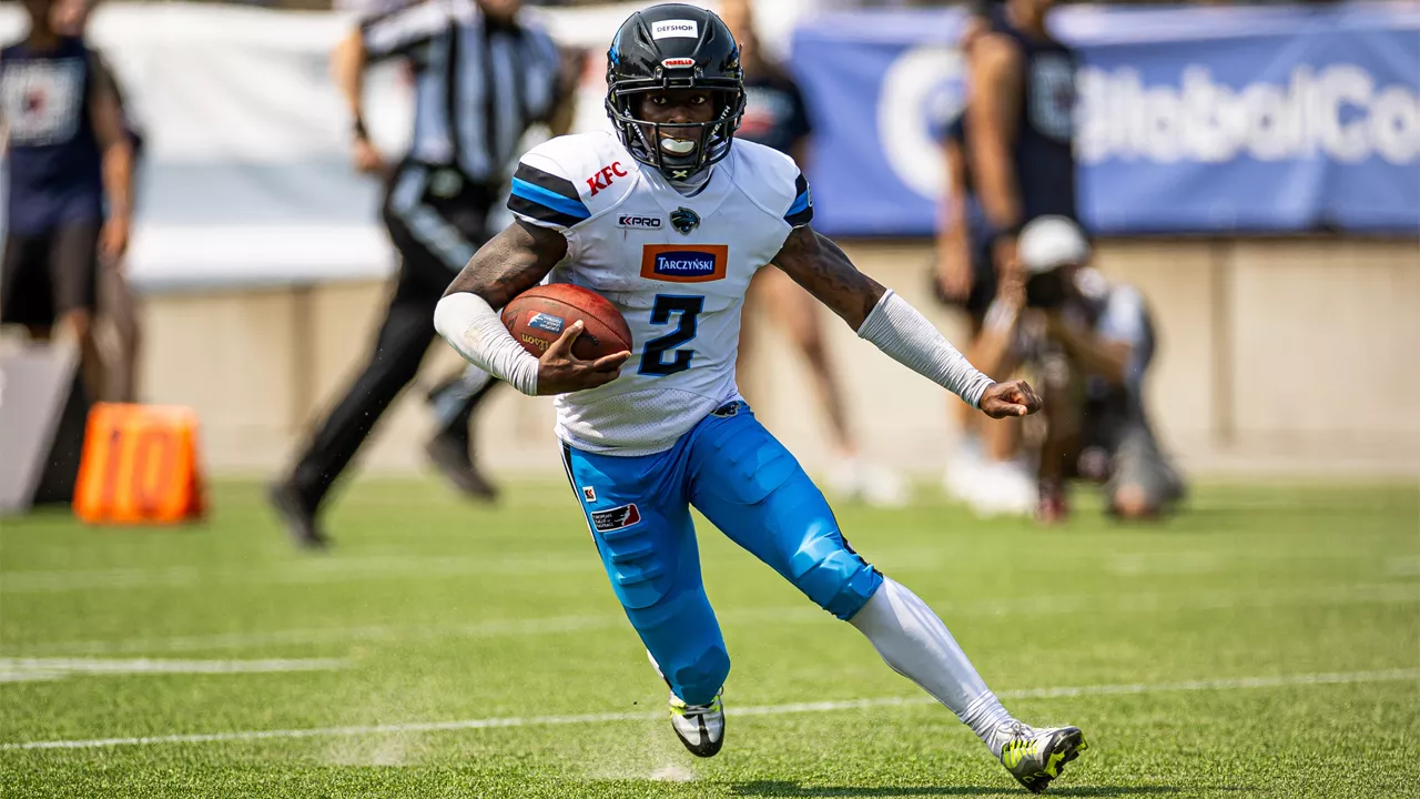 Stumble in Hamburg. Panthers Wrocław lose to the vice champions ...