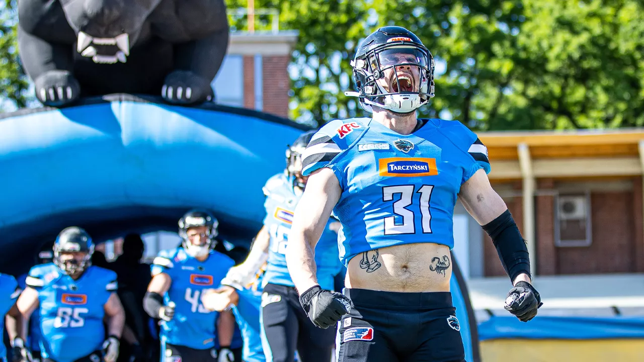 Amazing Panthers Wrocław. Poles defeated European runners-up ...