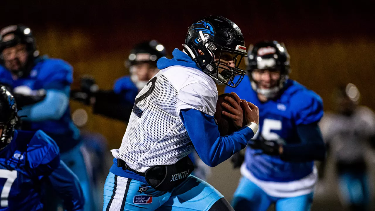 Meet the Panthers rivals in the ELF | Panthers Wrocław